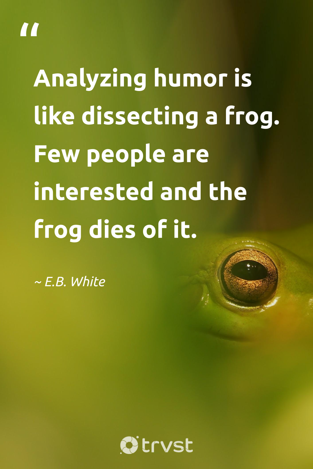 27 Frog Quotes about the Diverse Amphibians