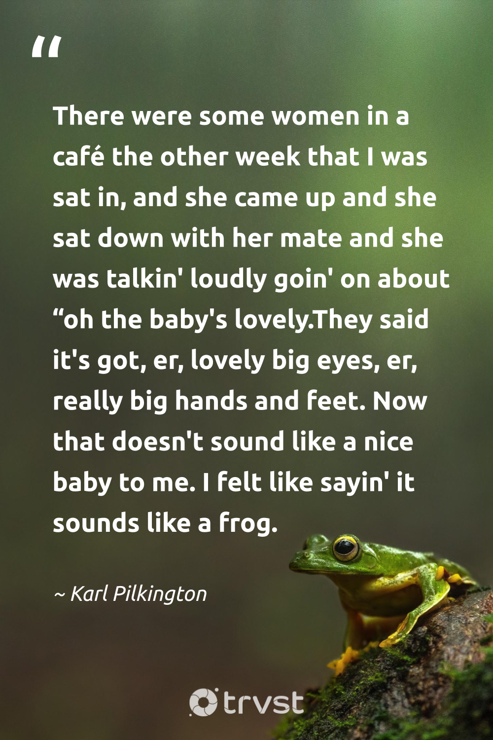 27 Frog Quotes about the Diverse Amphibians