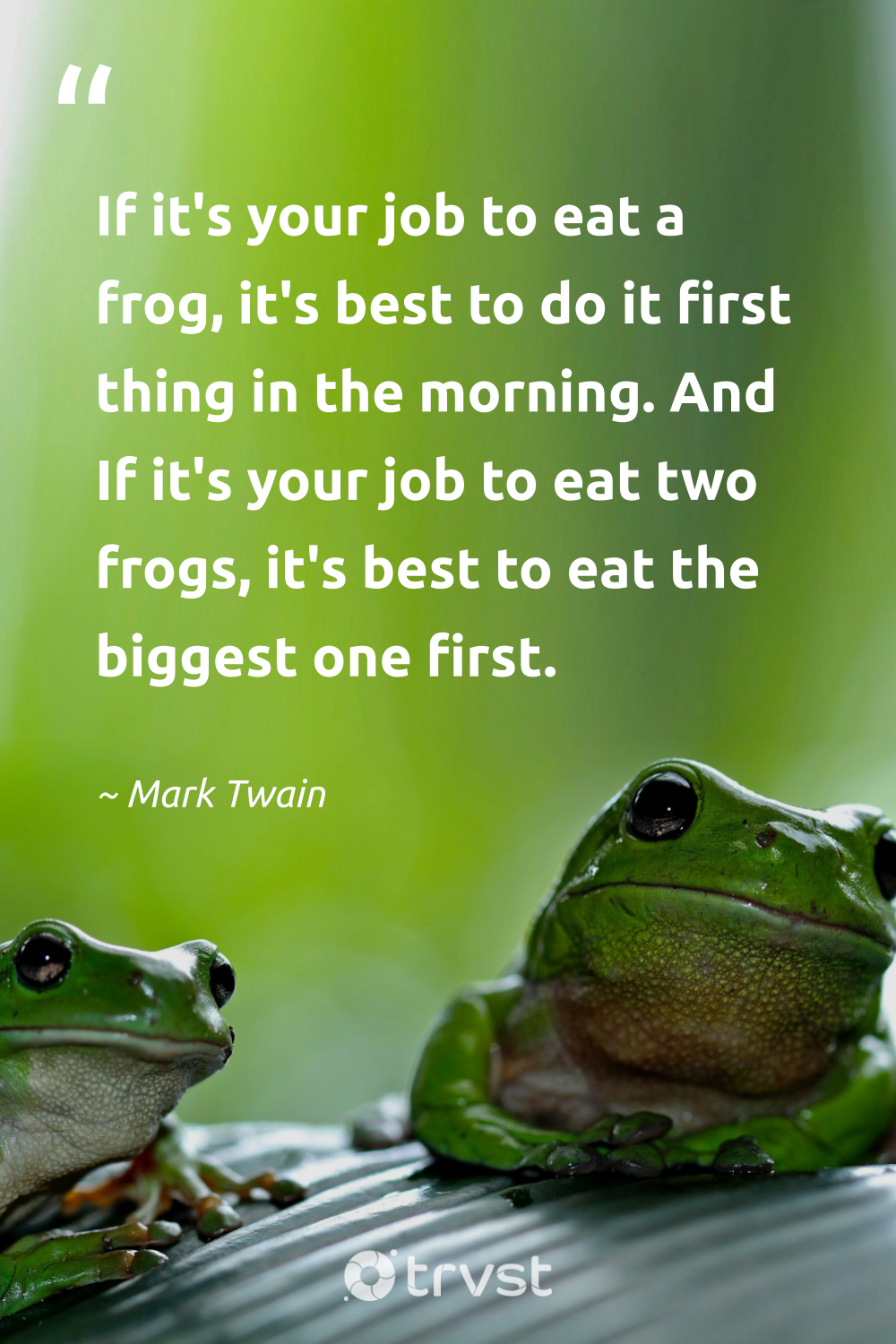 27 Frog Quotes about the Diverse Amphibians