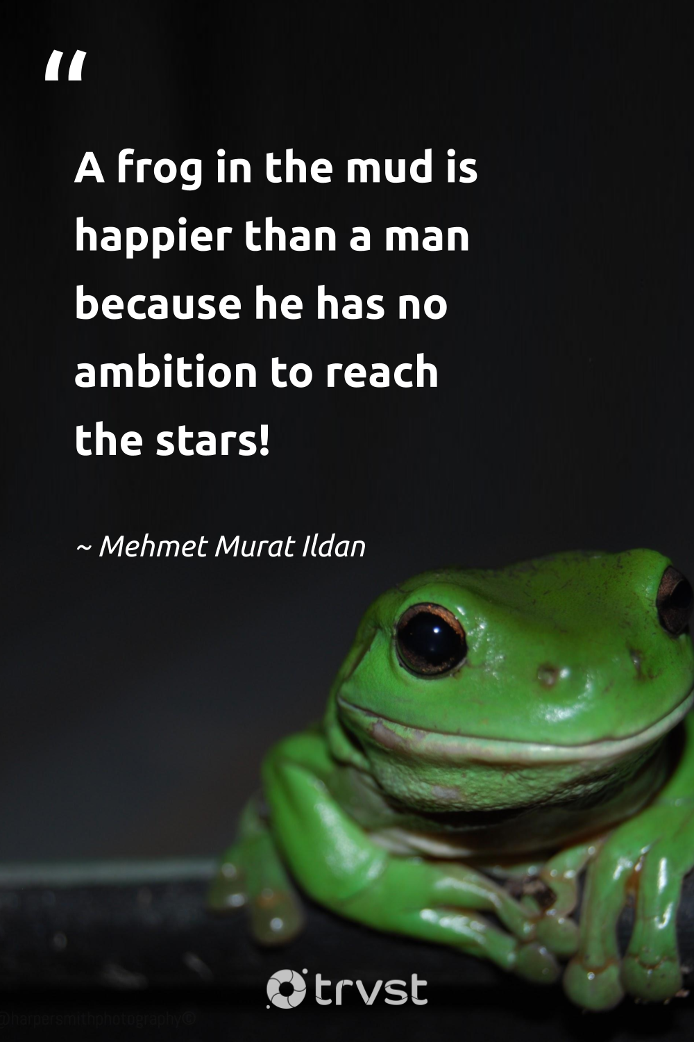 27 Frog Quotes about the Diverse Amphibians