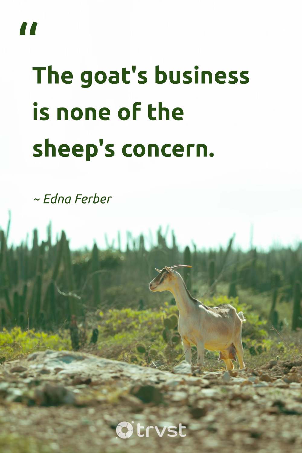 20 Goat Quotes And Sayings About The Bleating Creature (2025)