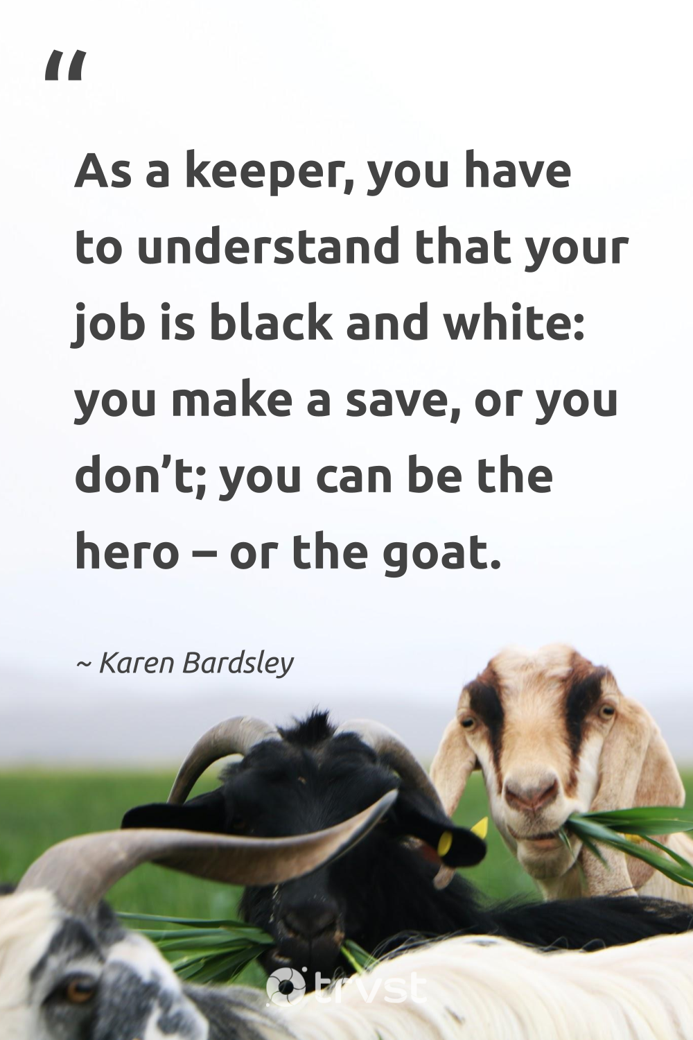 20 Goat Quotes And Sayings About The Bleating Creature (2025)