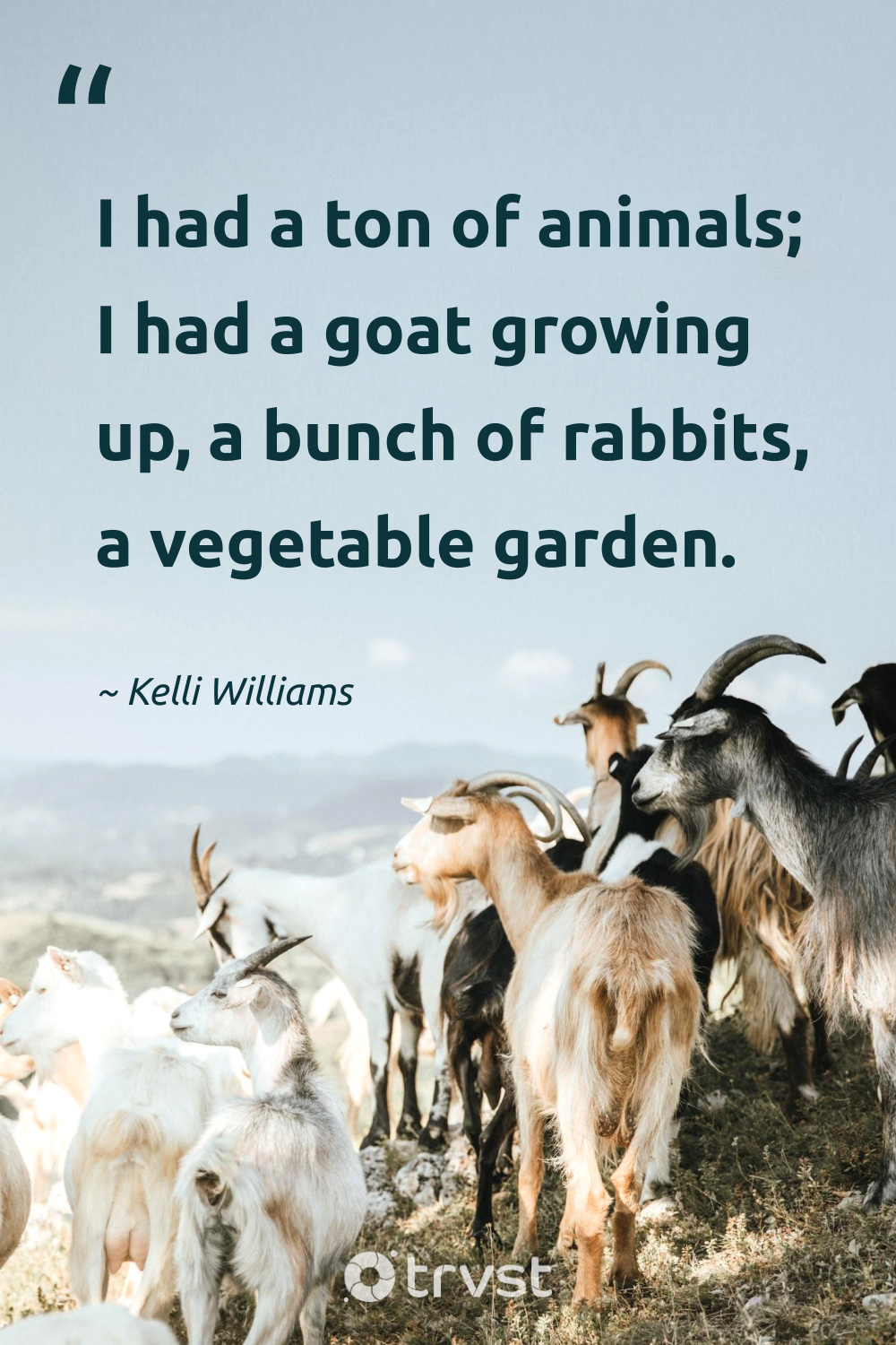 20 Goat Quotes And Sayings About The Bleating Creature (2025)