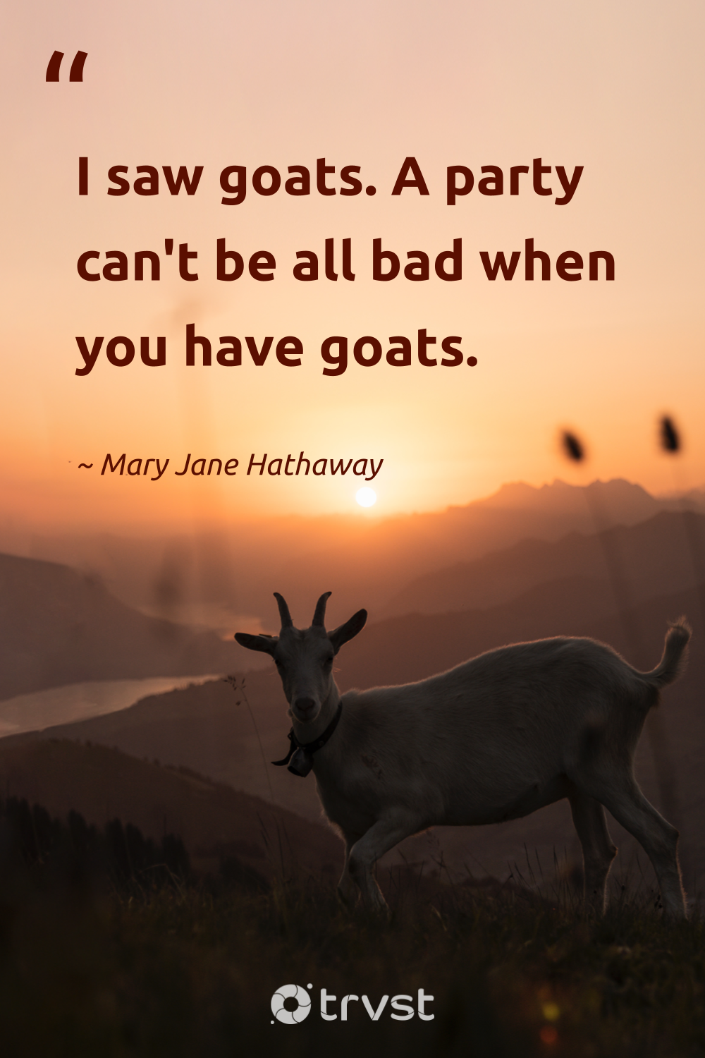 20 Goat Quotes And Sayings About The Bleating Creature (2025)