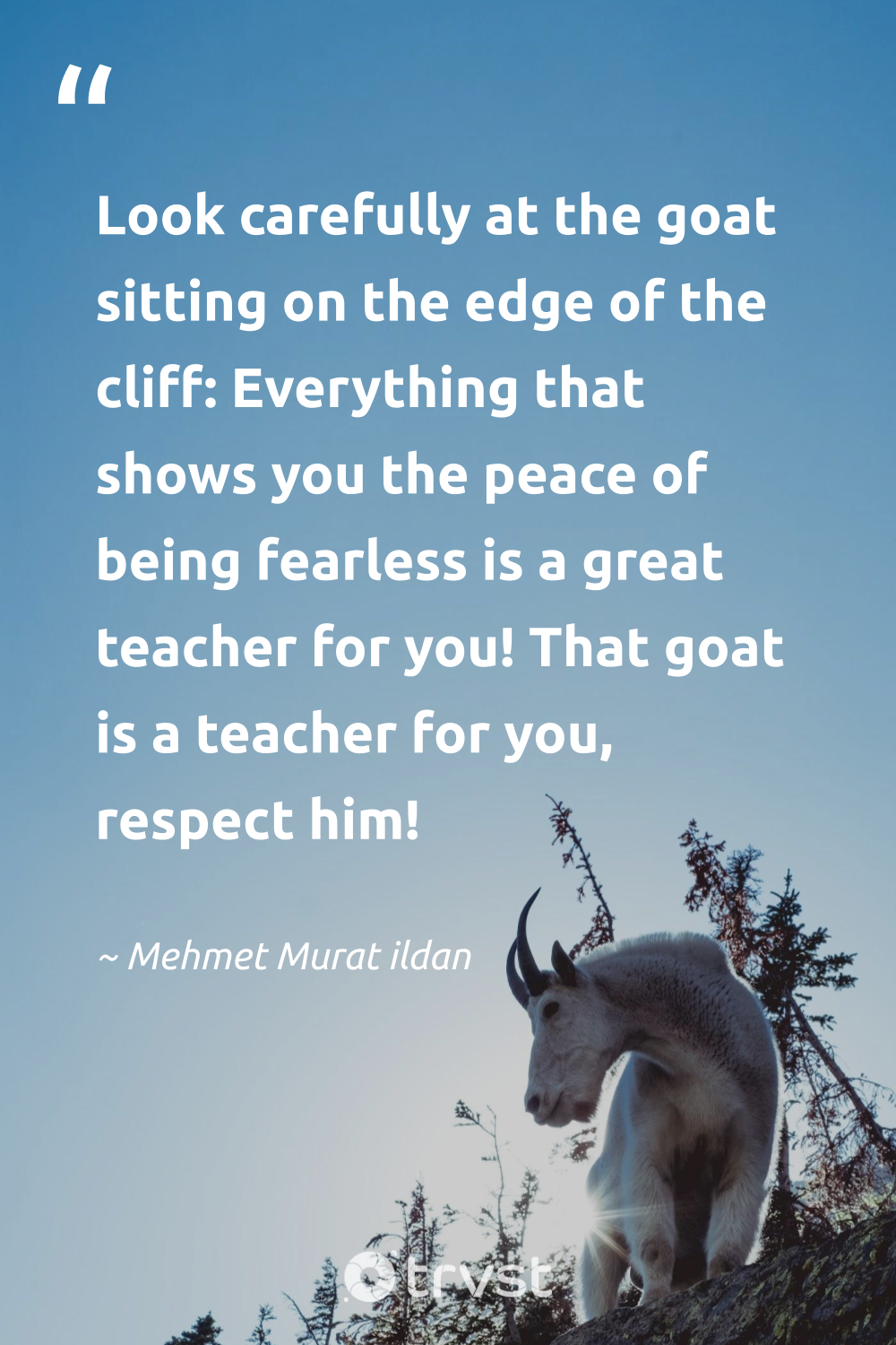 20 Goat Quotes And Sayings About The Bleating Creature (2025)