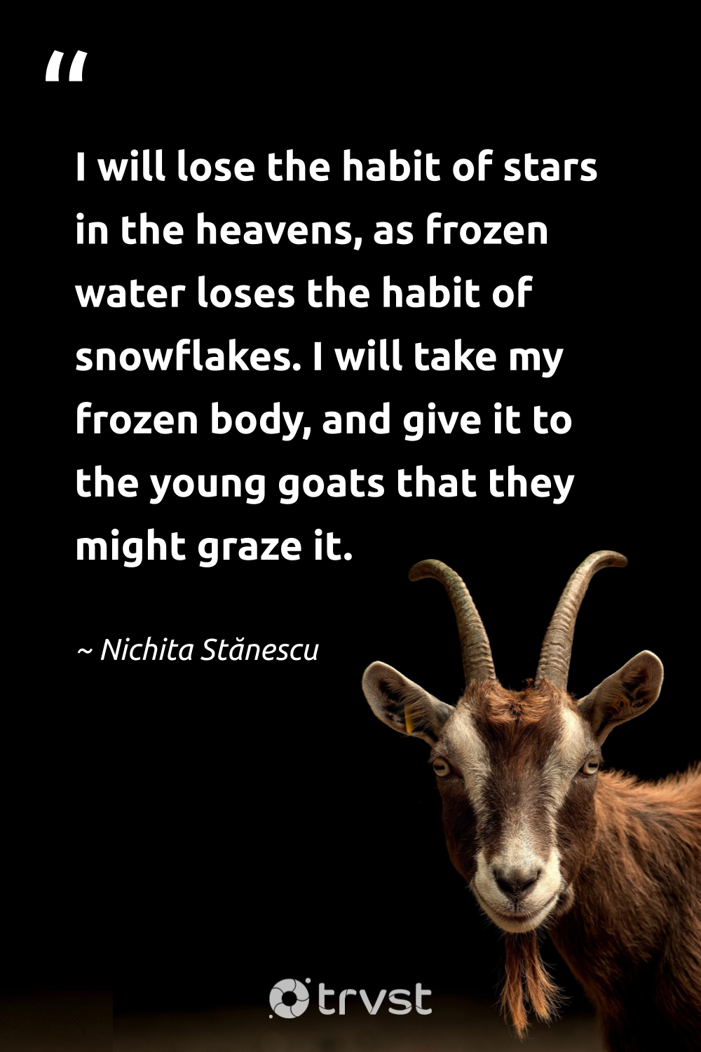 20 Goat Quotes And Sayings About The Bleating Creature (2025)