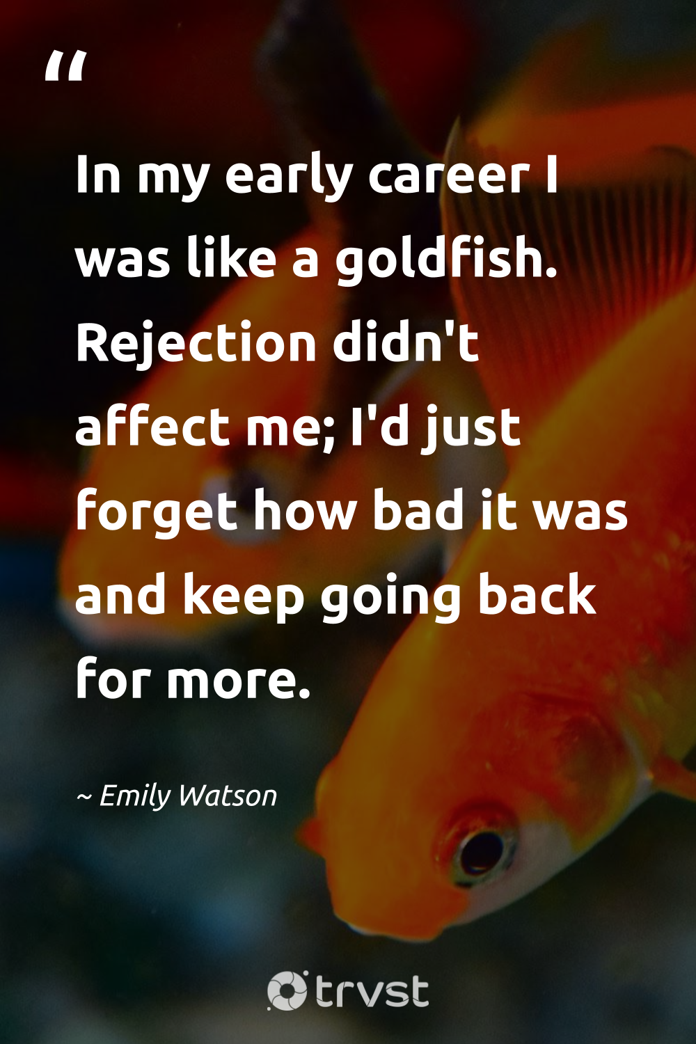 17 Goldfish Quotes About The Golden Gliders