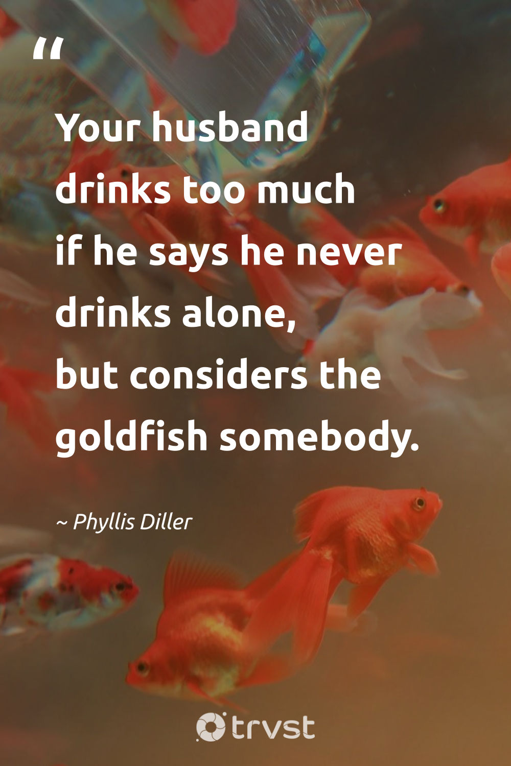17 Goldfish Quotes About The Golden Gliders