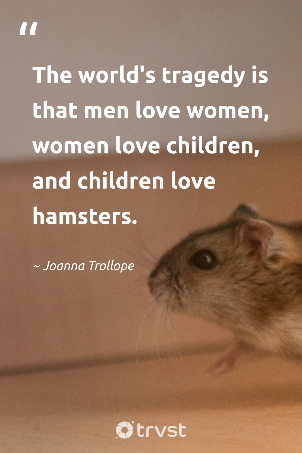 10 Hamster Quotes About These Adorable Rodents