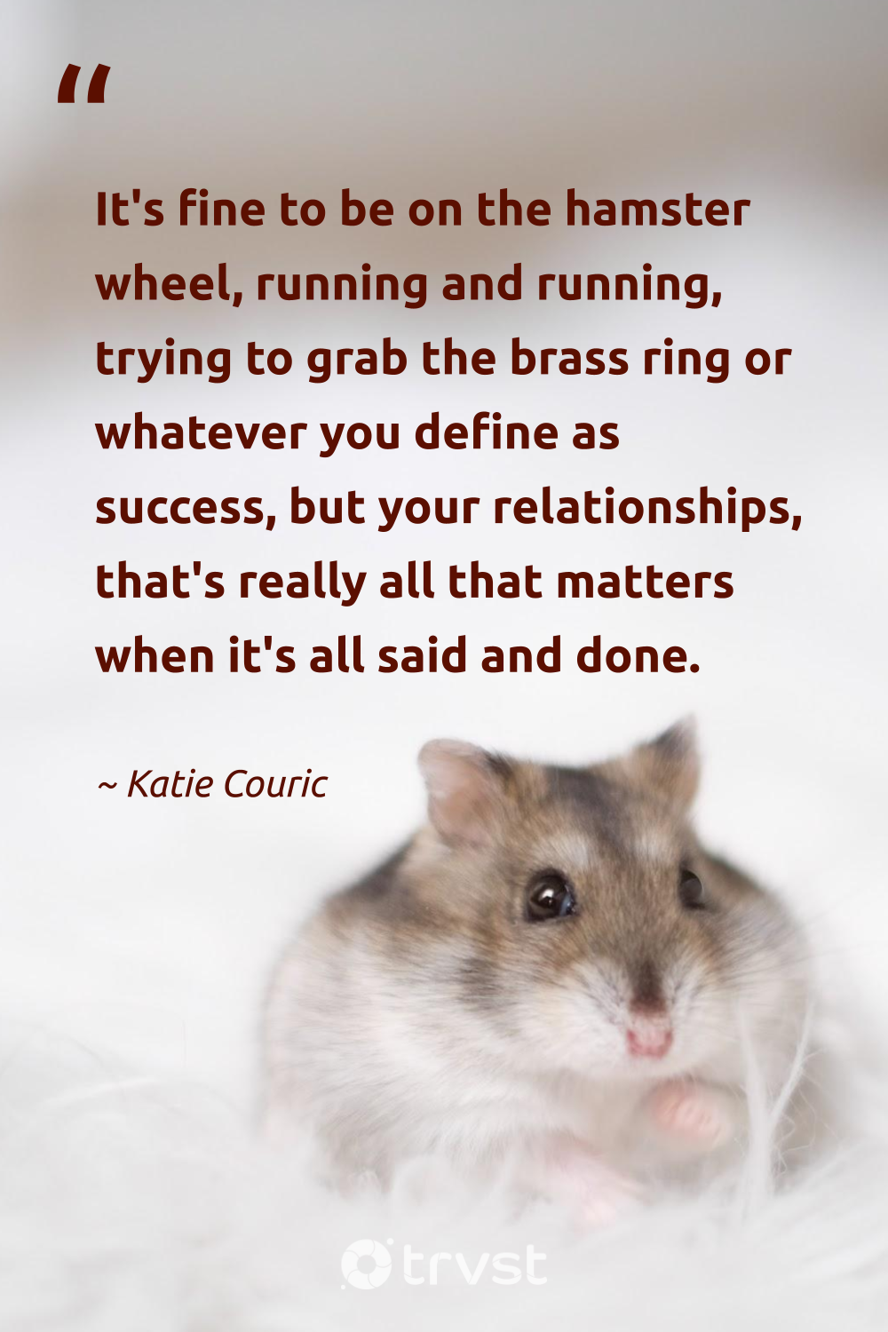 10 Hamster Quotes About These Adorable Rodents
