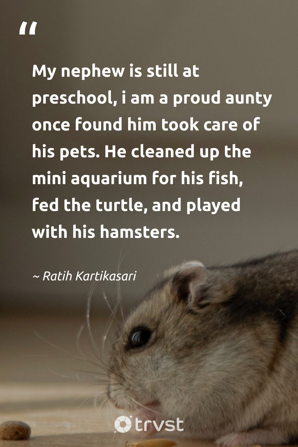10 Hamster Quotes About These Adorable Rodents
