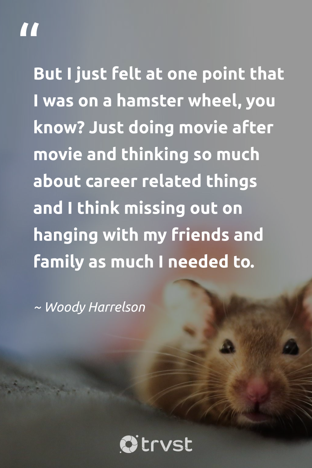 10 Hamster Quotes About These Adorable Rodents