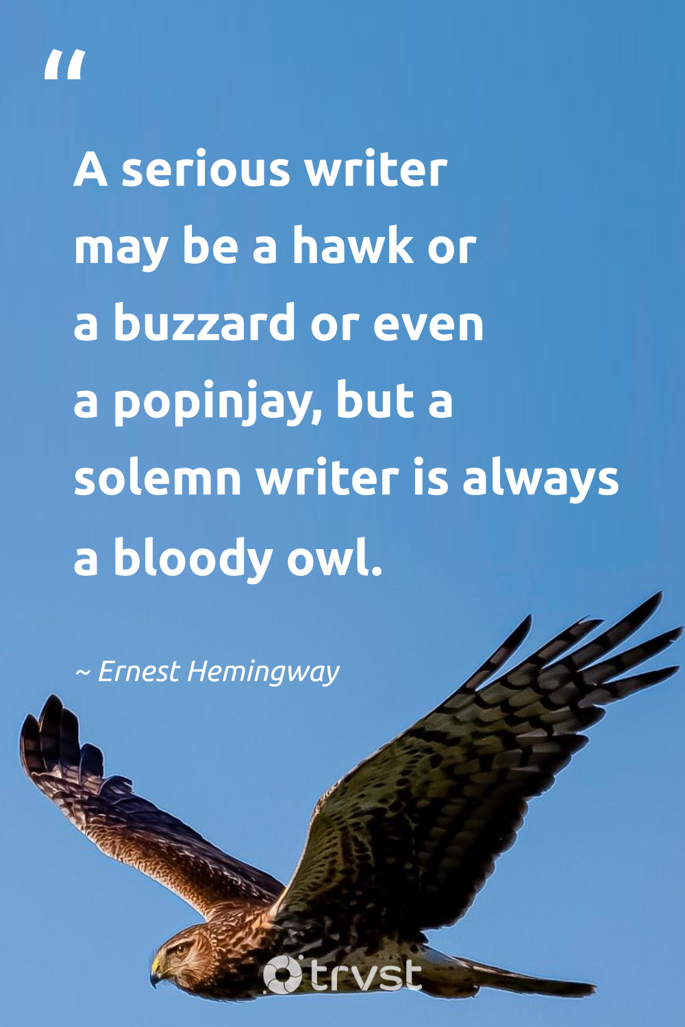 29 Hawk Quotes & Proverbs Echoing The Raptors' Strength (2025)