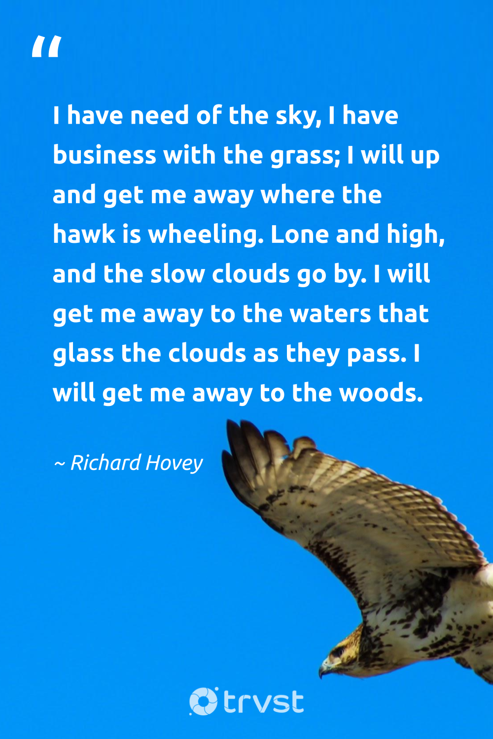 29 Hawk Quotes & Proverbs Echoing The Raptors' Strength (2025)