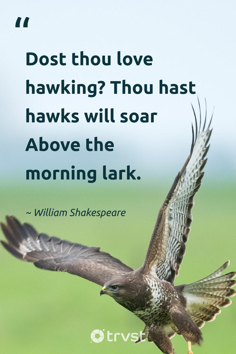 29 Hawk Quotes & Proverbs Echoing The Raptors' Strength (2025)