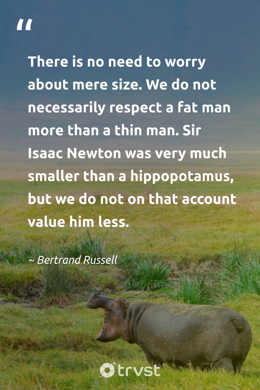 12 Hippo Quotes About The Humongous River Horse