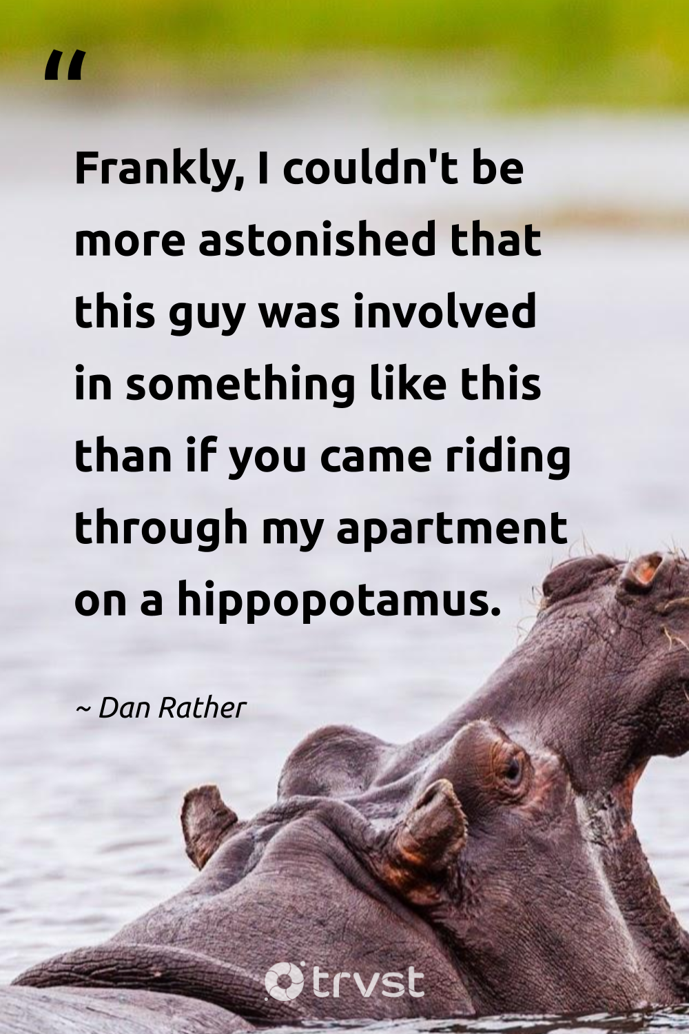 12 Hippo Quotes About The Humongous River Horse