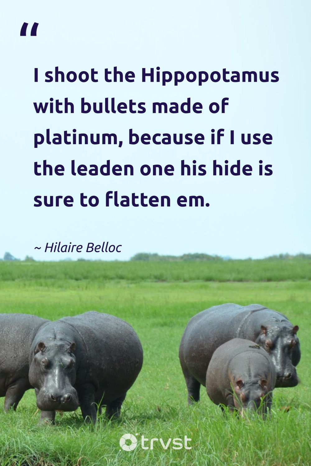 12 Hippo Quotes About The Humongous River Horse