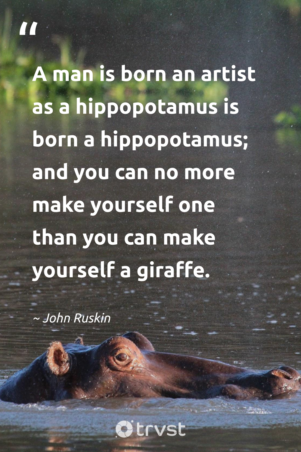 12 Hippo Quotes About The Humongous River Horse