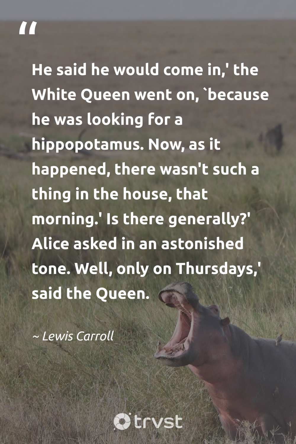 12 Hippo Quotes About The Humongous River Horse