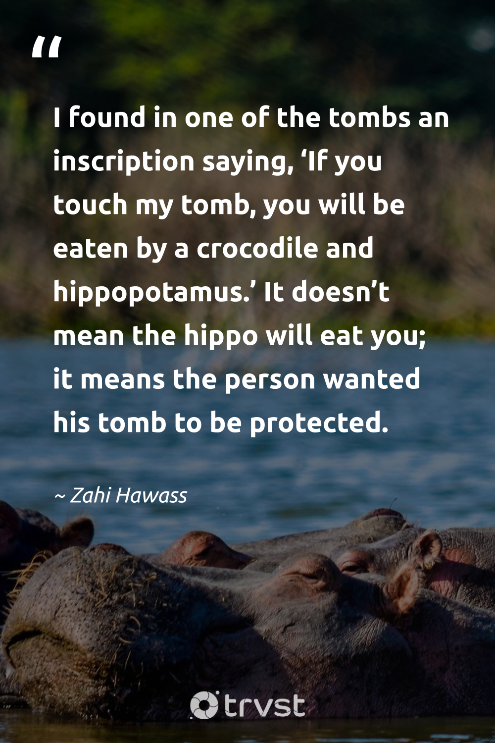 12 Hippo Quotes About The Humongous River Horse