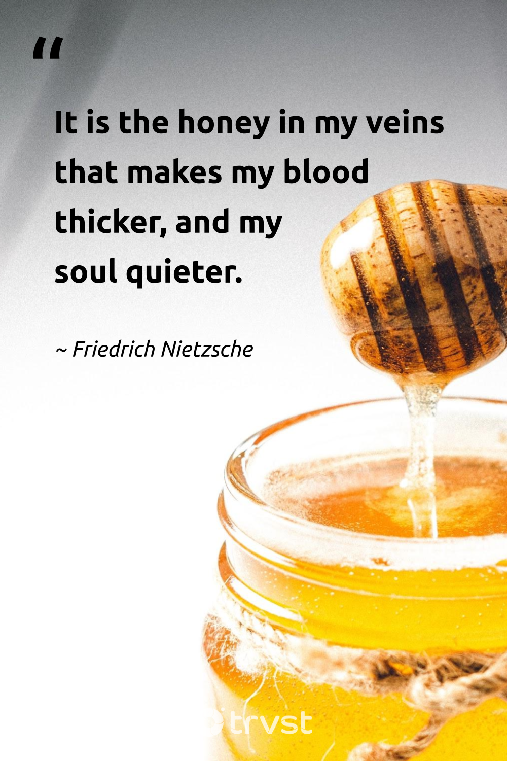35 Honey Quotes For Natural Sweetness and Busy Bees (2025)