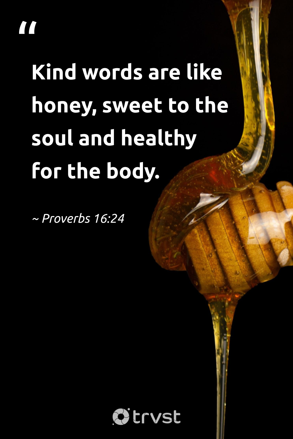 35 Honey Quotes For Natural Sweetness and Busy Bees (2025)