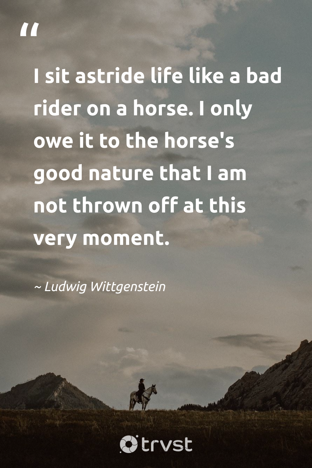45 Horse Quotes Inspiring Freedom and Companionship (2025)