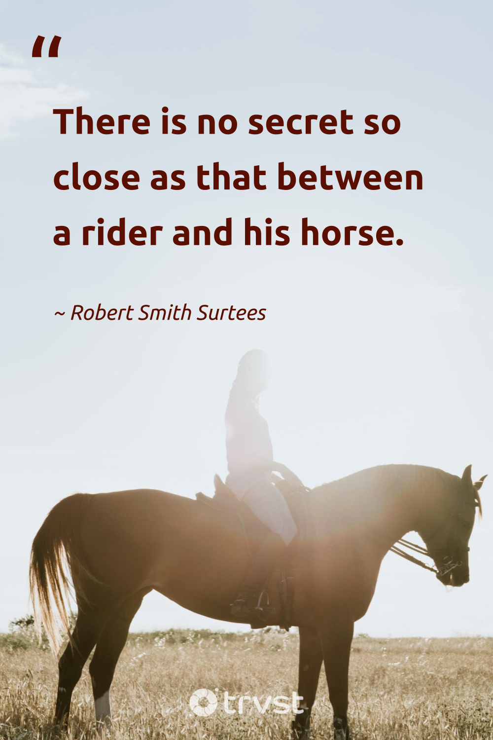 45 Horse Quotes Inspiring Freedom and Companionship (2024)