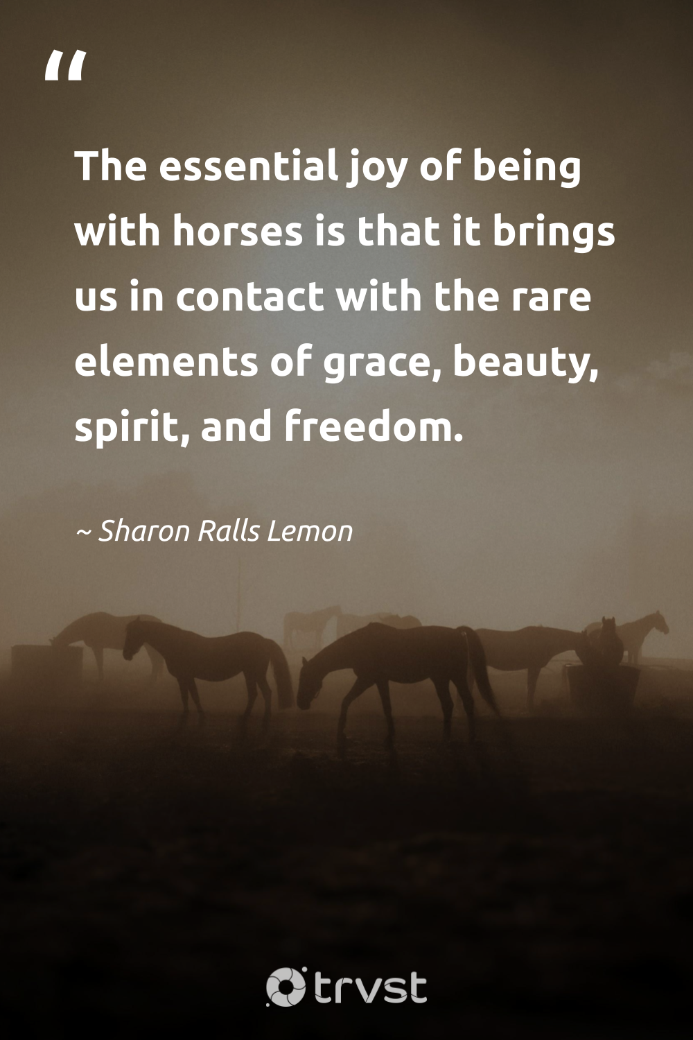 45 Horse Quotes Inspiring Freedom and Companionship (2025)