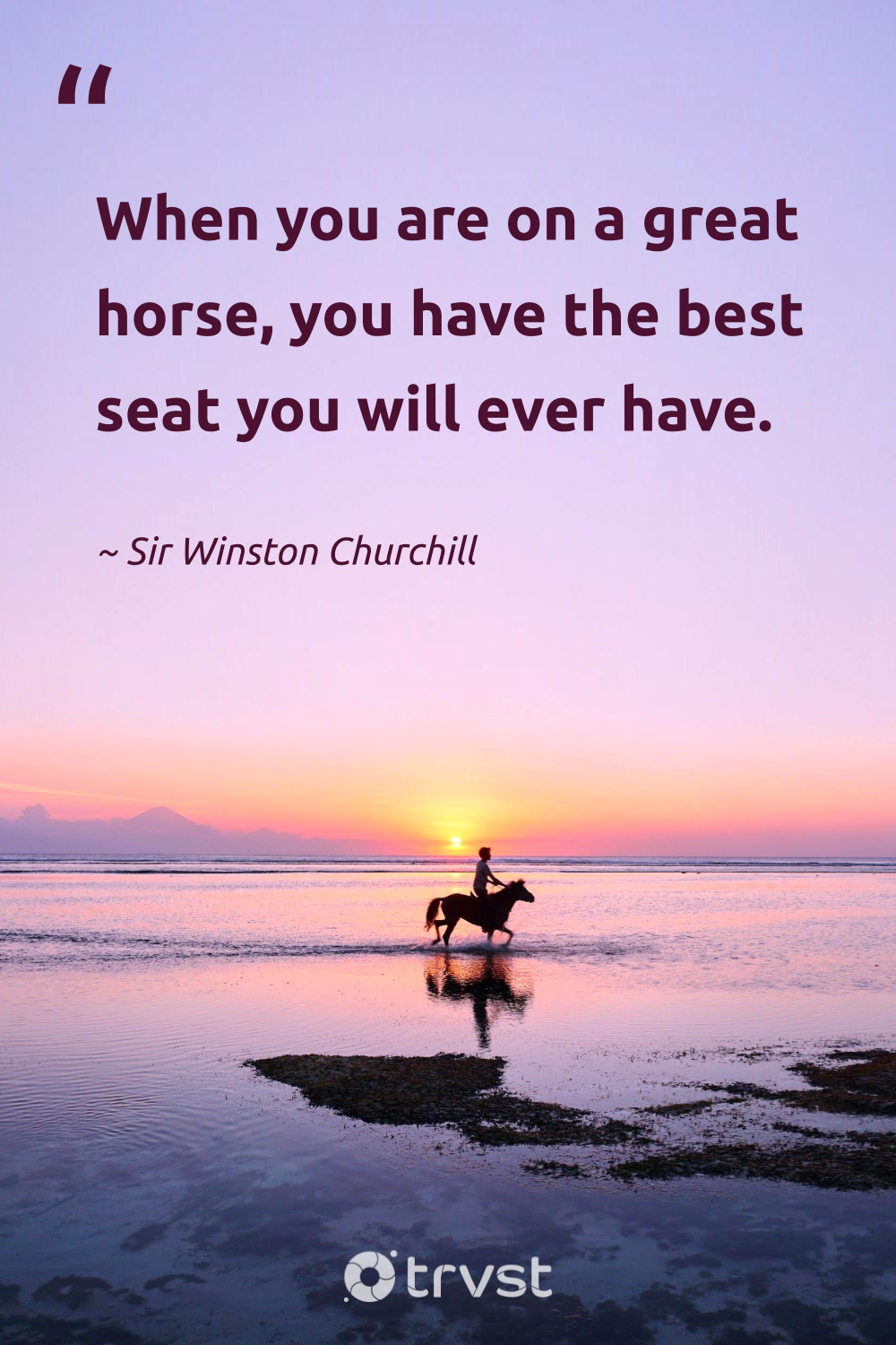 45 Horse Quotes Inspiring Freedom and Companionship (2025)