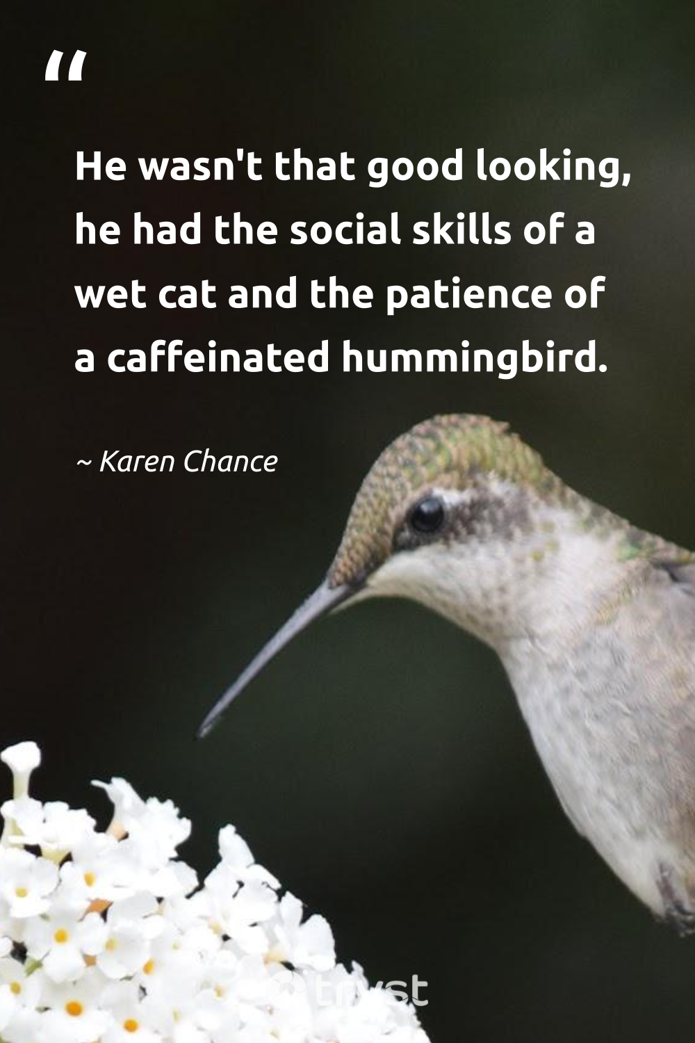 45 Hummingbird Quotes That Bring Joy And Color To Your Life