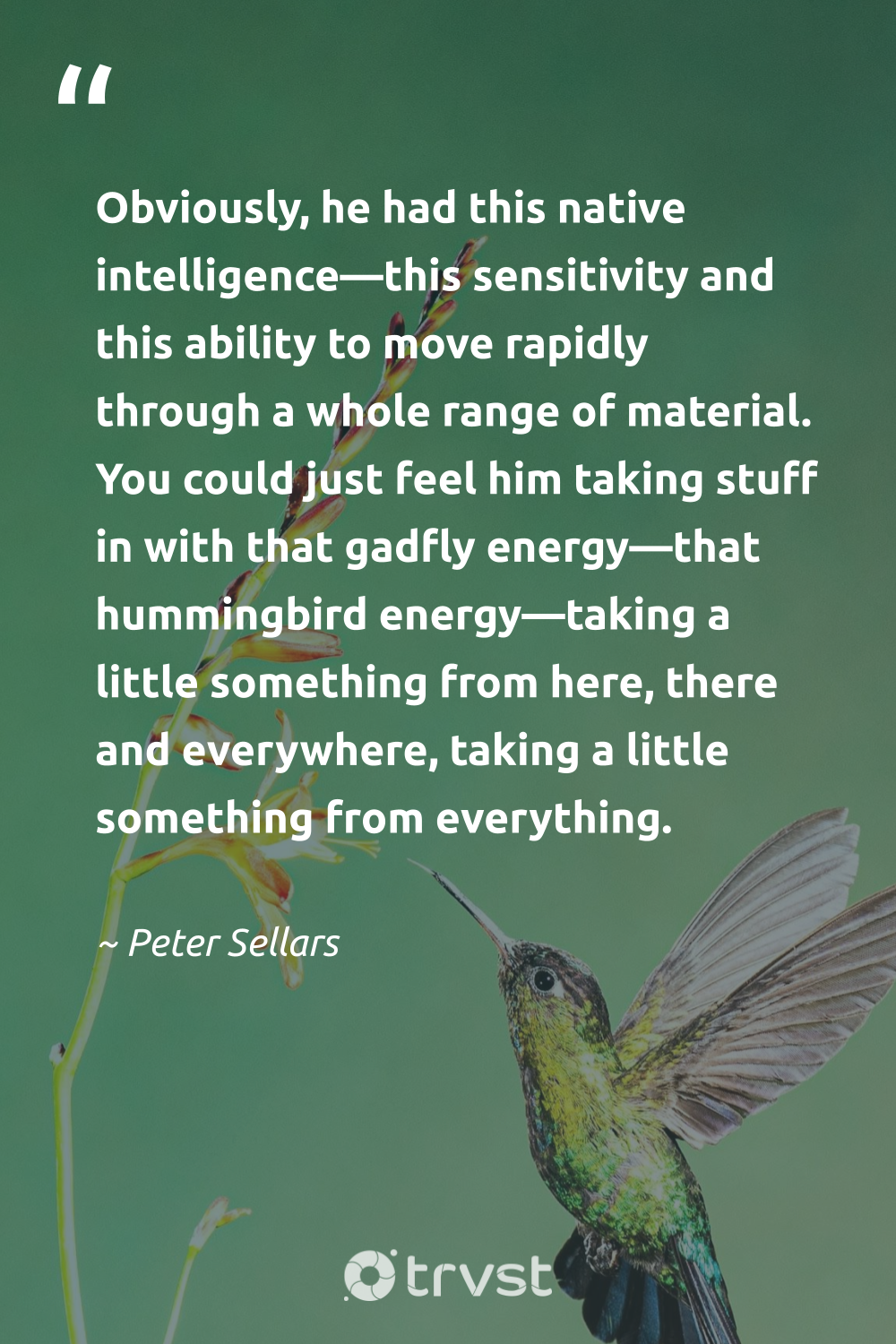 45 Hummingbird Quotes That Bring Joy And Color To Your Life