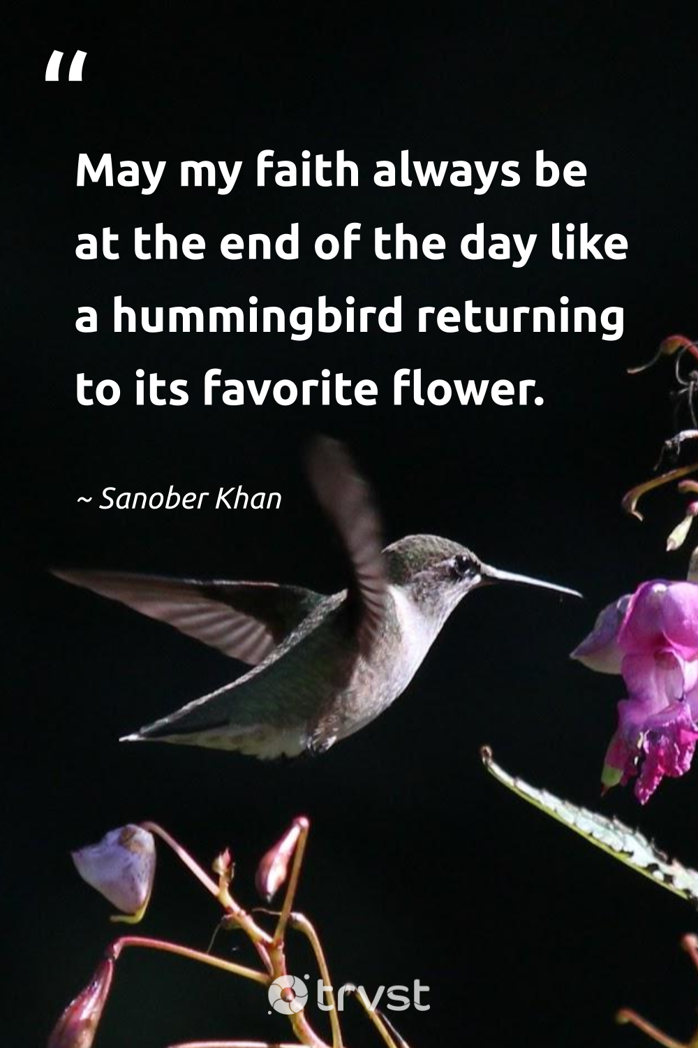 45 Hummingbird Quotes That Bring Joy And Color To Your Life