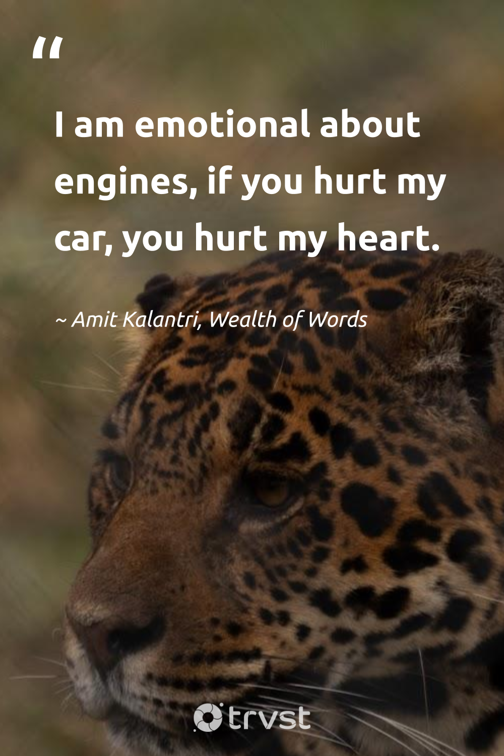 16 Jaguar Quotes to Boost Courage and Confidence