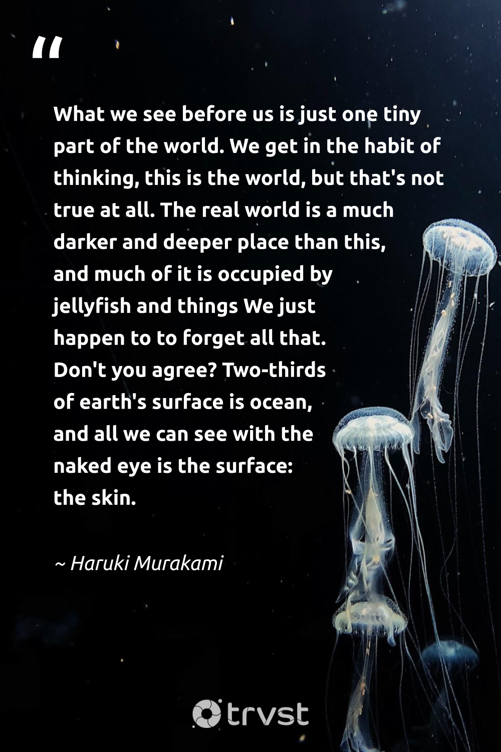 28 Jellyfish Quotes to Promote Simplicity and Survival (2025)
