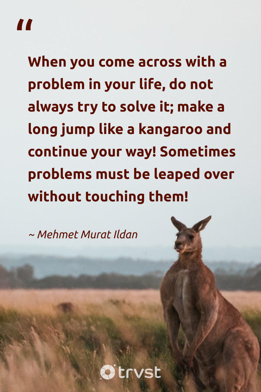 10 Kangaroo Quotes About The Memorable Marsupials