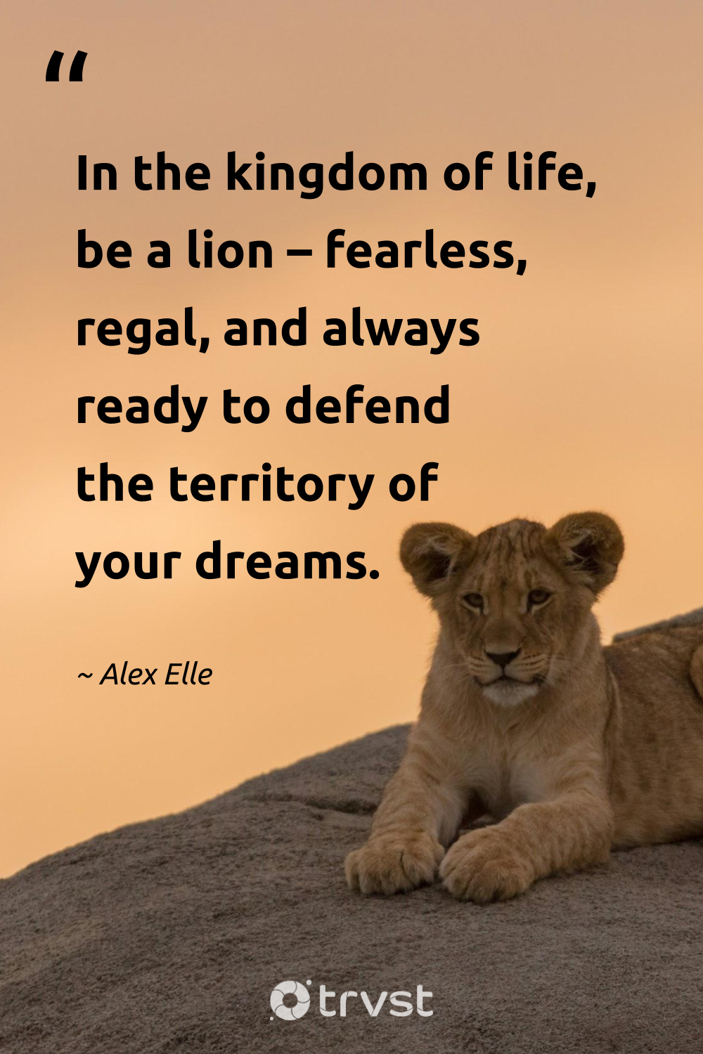 53 Lion Quotes Full Of Courage And Fearless Motivation (2025)