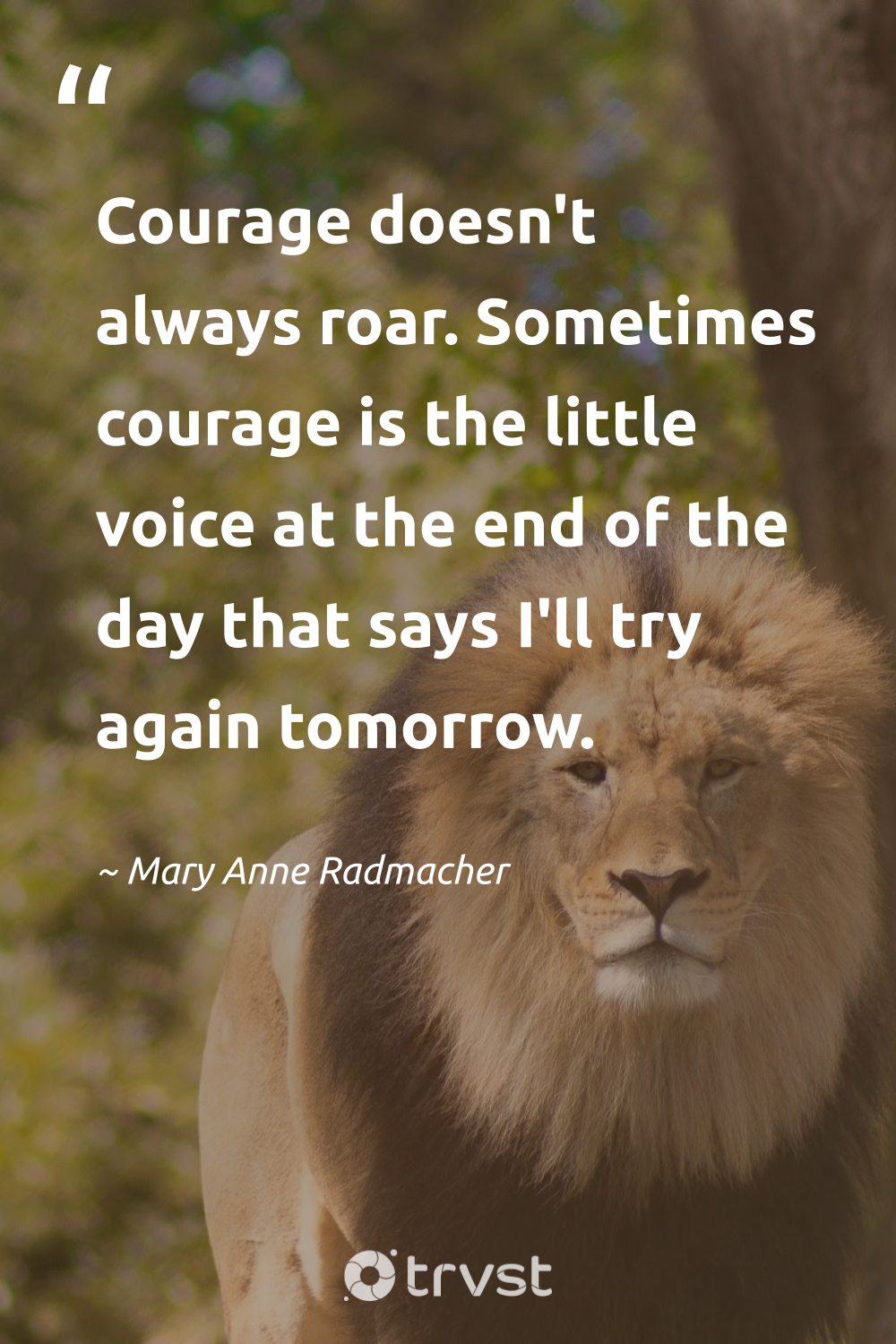53 Lion Quotes Full Of Courage And Fearless Motivation (2025)