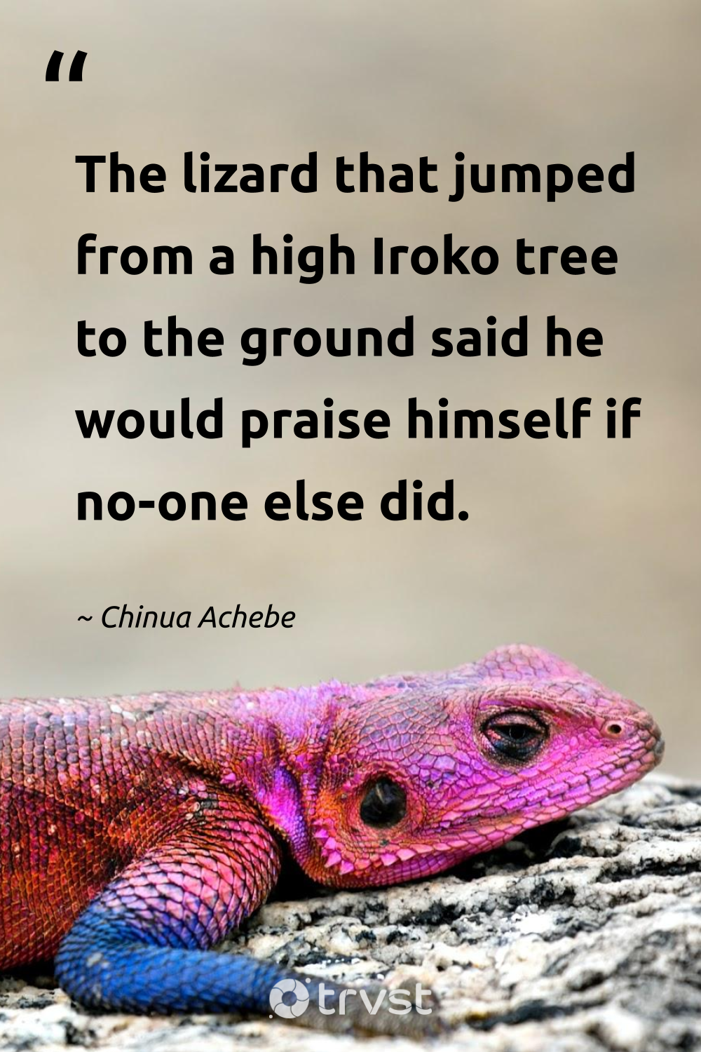 20 Lizard Quotes About The Ancient Adaptable Reptiles