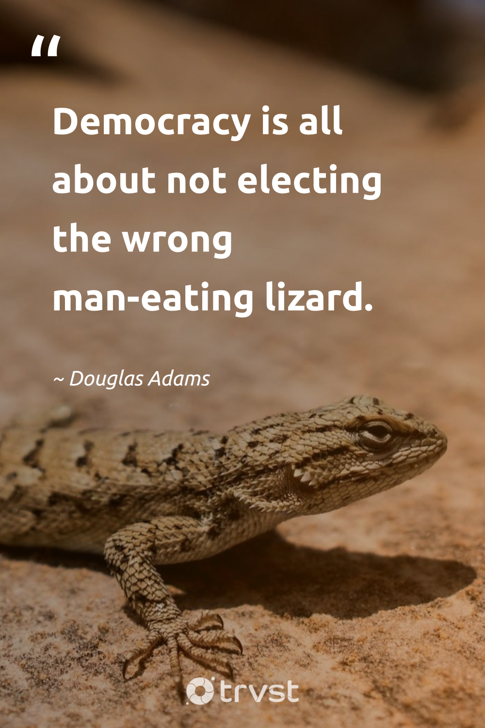 20 Lizard Quotes About The Ancient Adaptable Reptiles