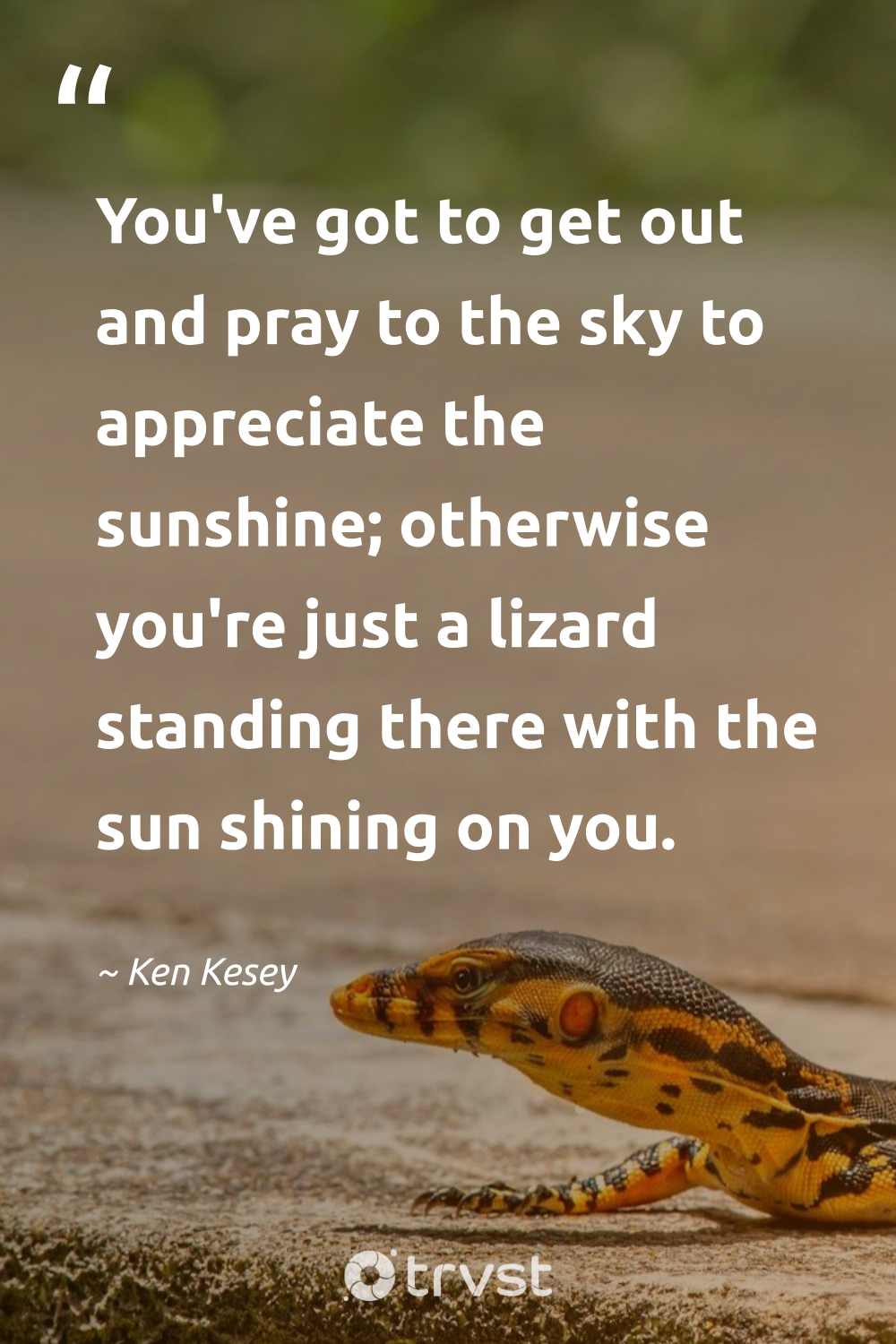 20 Lizard Quotes About The Ancient Adaptable Reptiles