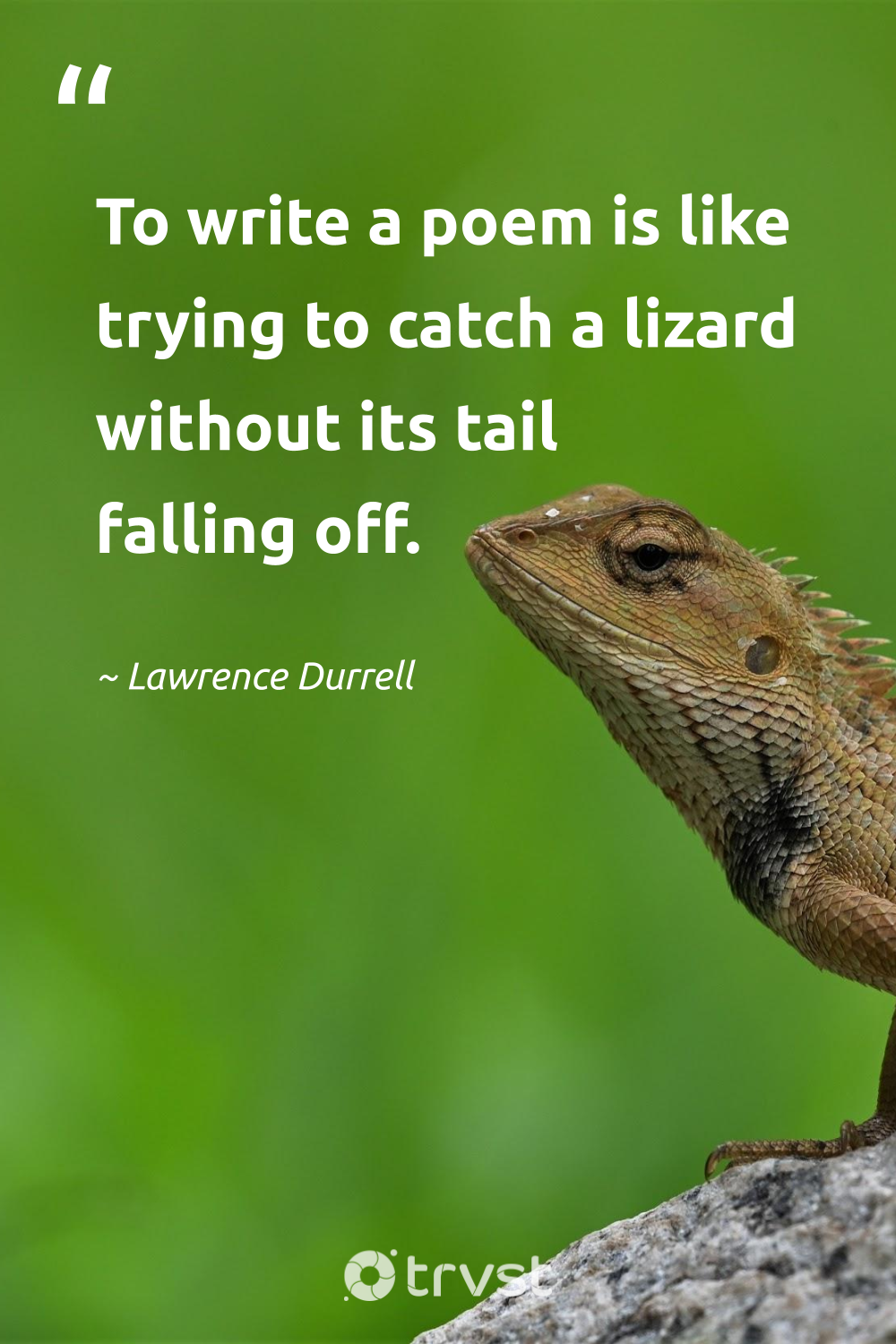 20 Lizard Quotes About The Ancient Adaptable Reptiles
