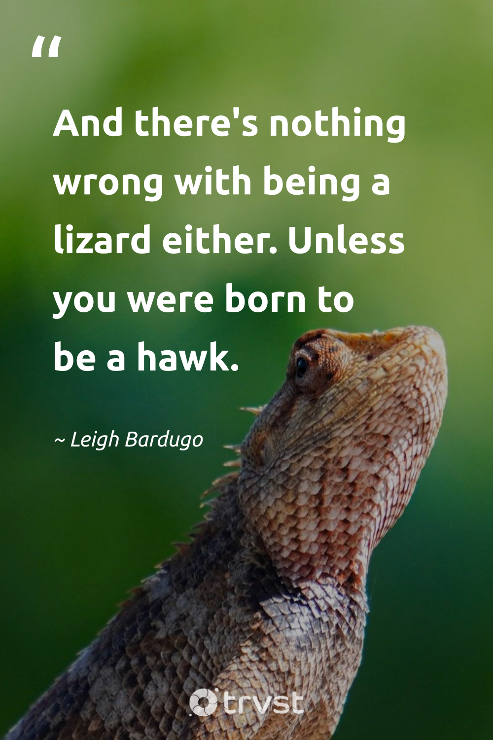20 Lizard Quotes About The Ancient Adaptable Reptiles