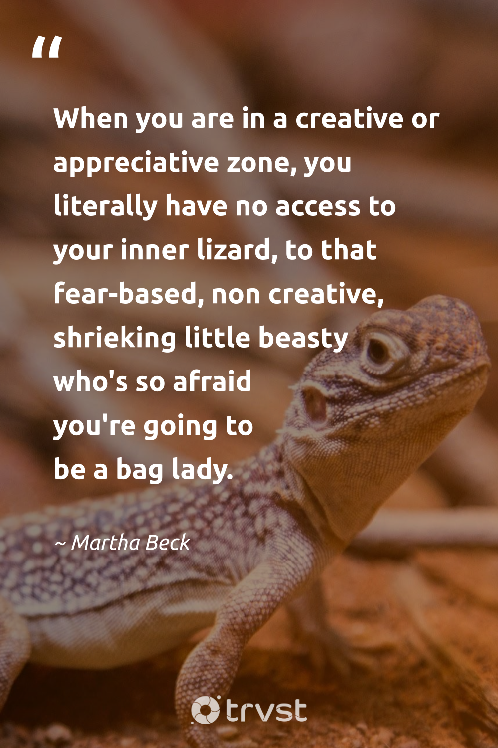 20 Lizard Quotes About The Ancient Adaptable Reptiles