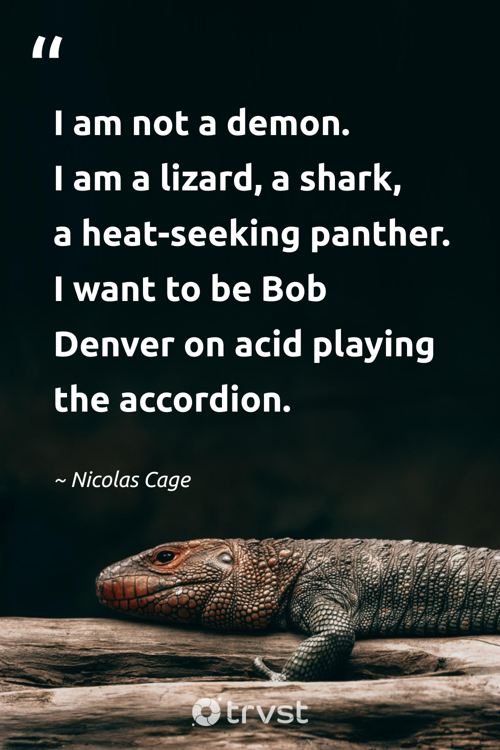 20 Lizard Quotes About The Ancient Adaptable Reptiles