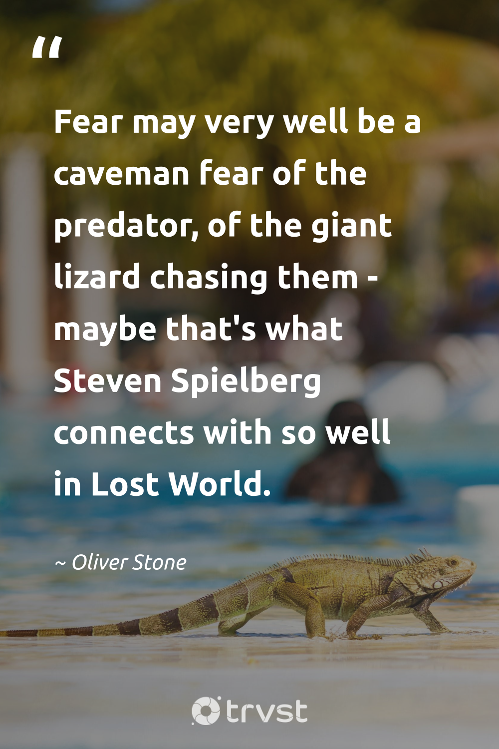 20 Lizard Quotes About The Ancient Adaptable Reptiles