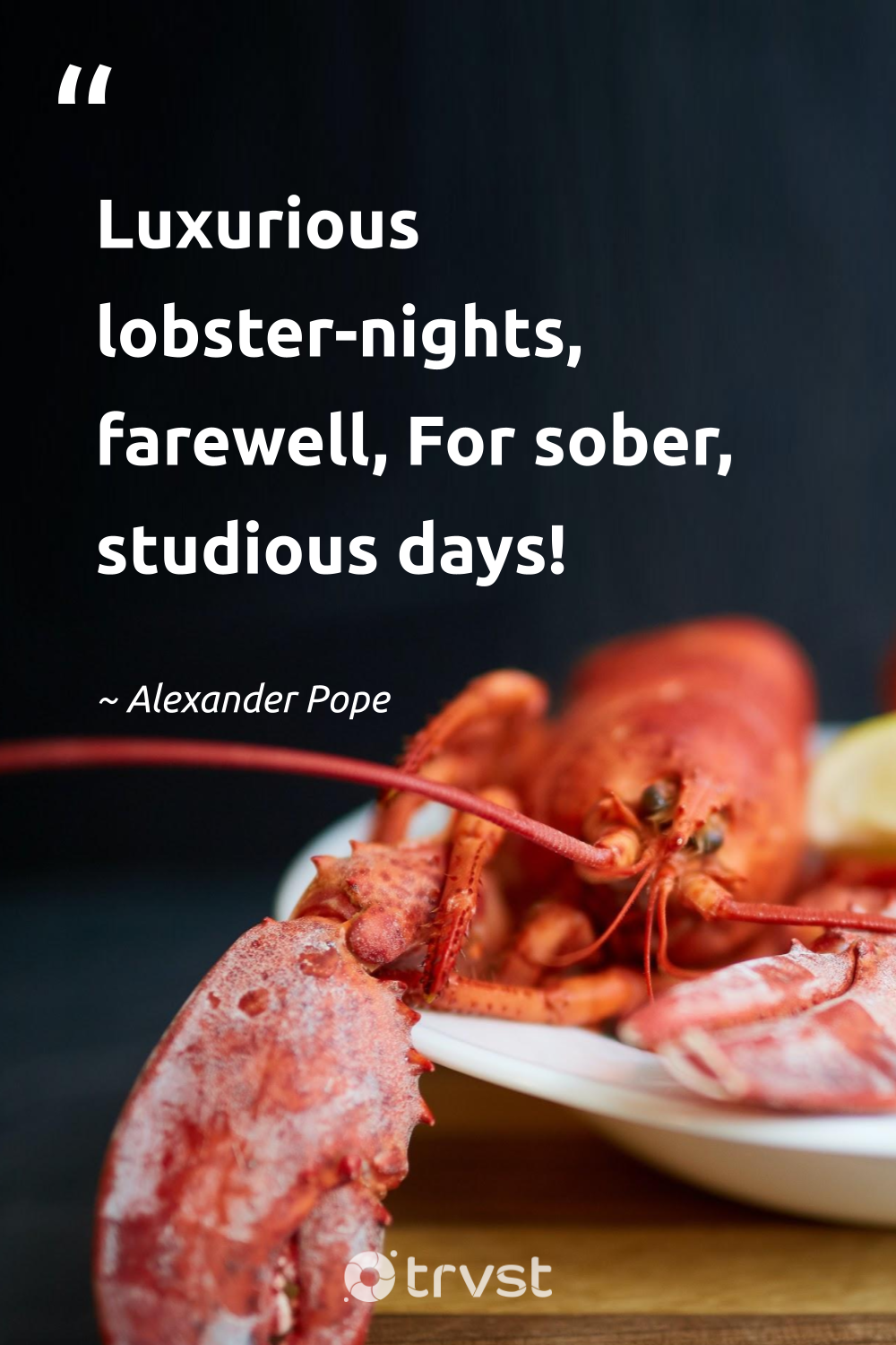 30 Lobster Quotes About The Famous Crustaceans