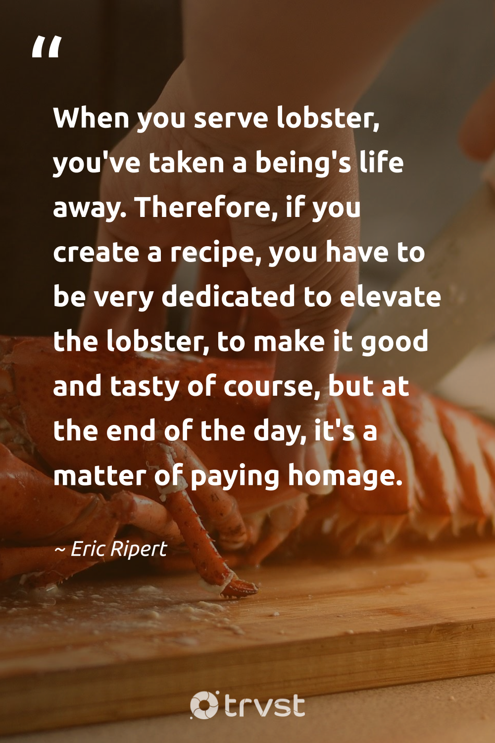 30 Lobster Quotes About The Famous Crustaceans