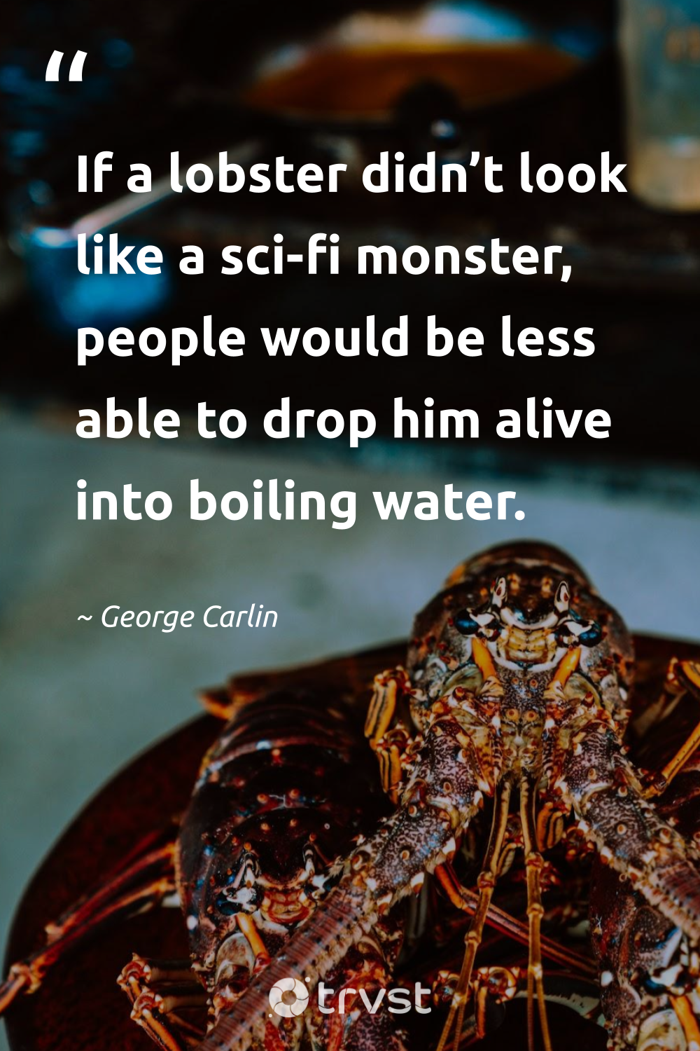 30 Lobster Quotes About The Famous Crustaceans
